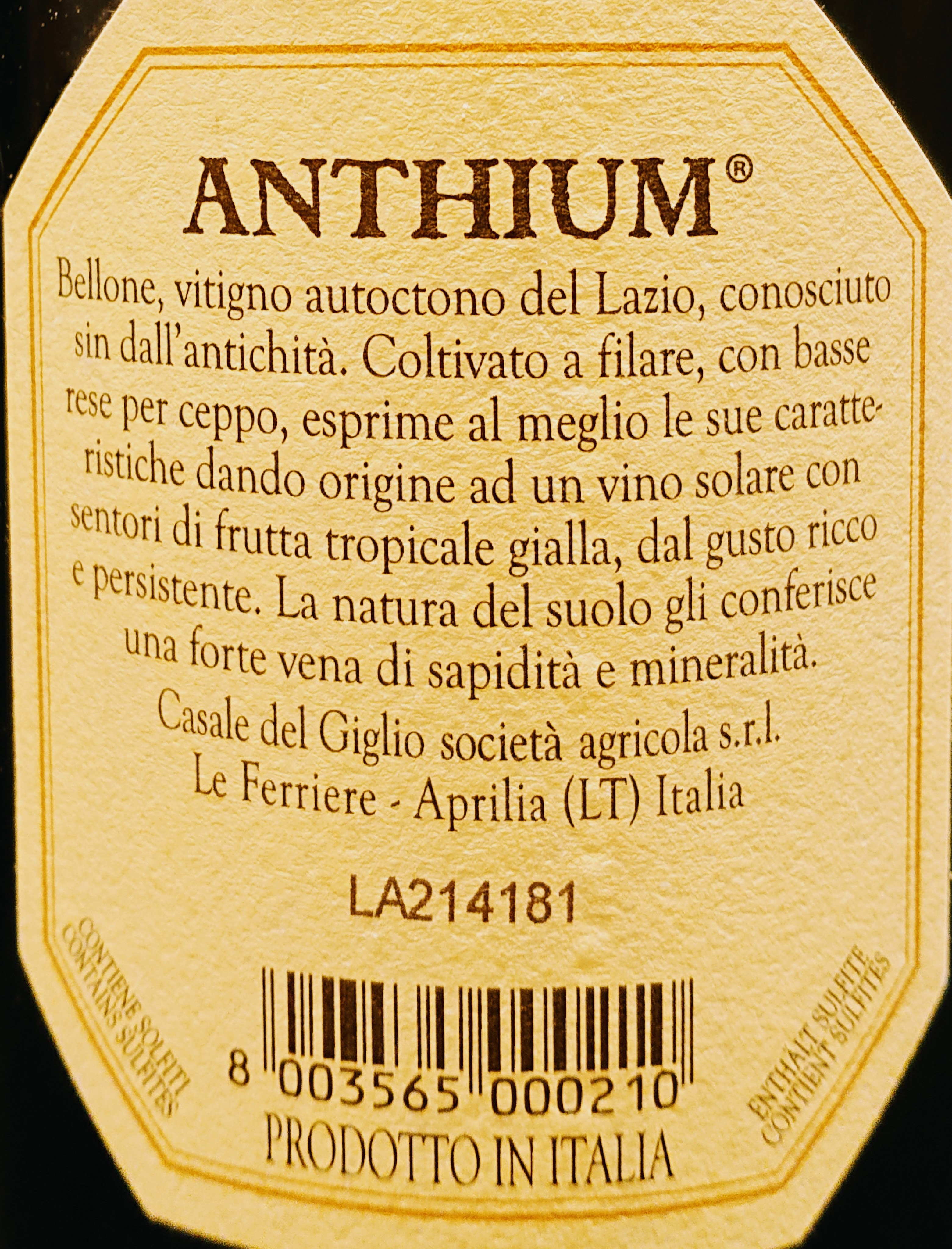 aNTHiuM, iL BeLLoNe😎 DeLL’aGRoPoNTiNo – Emotional Wines